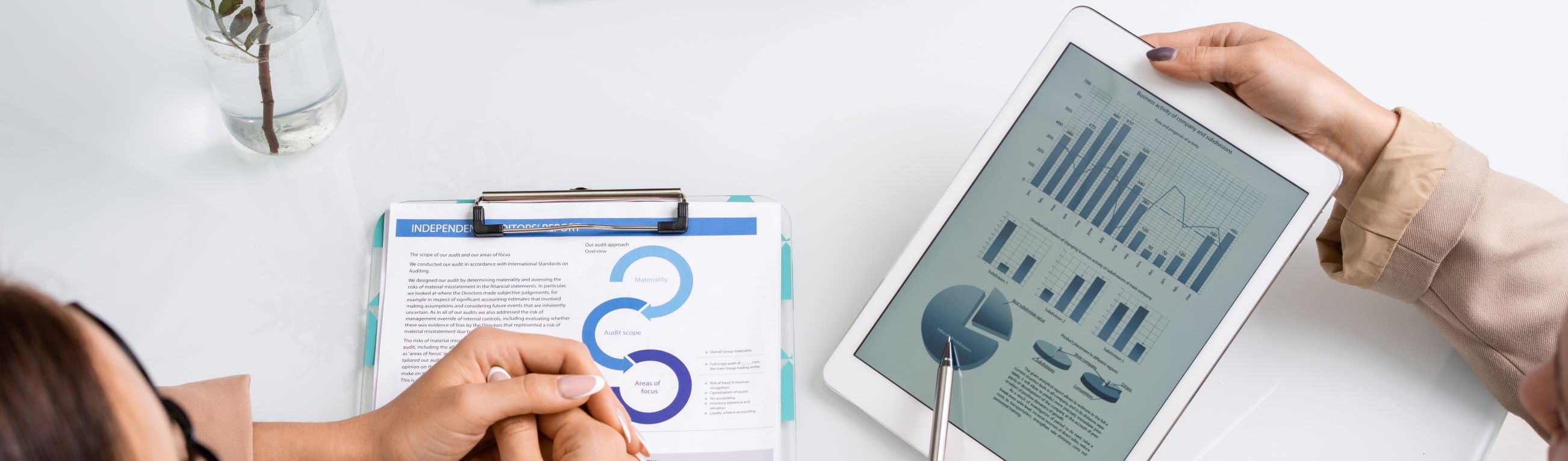 Investment Advisory Services